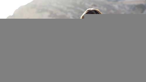 Best 10 Actresses From Lebanon Of All Time - Teammovies